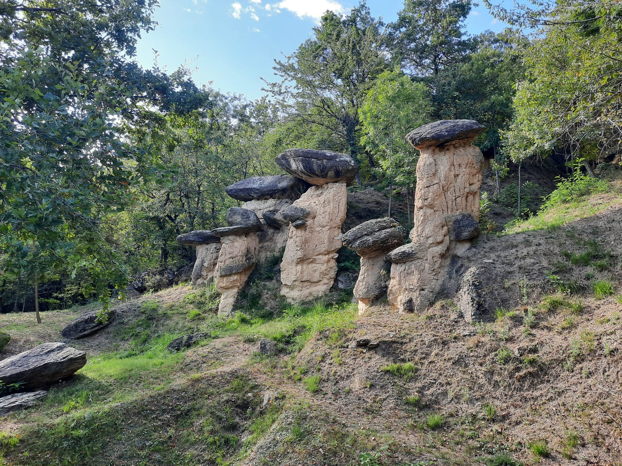 Riserva Naturale Ciciu del Villar: tra natura e magia