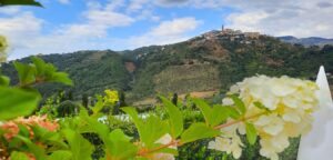 Picerno: cosa vedere e dove soggiornare, nel cuore della Basilicata.